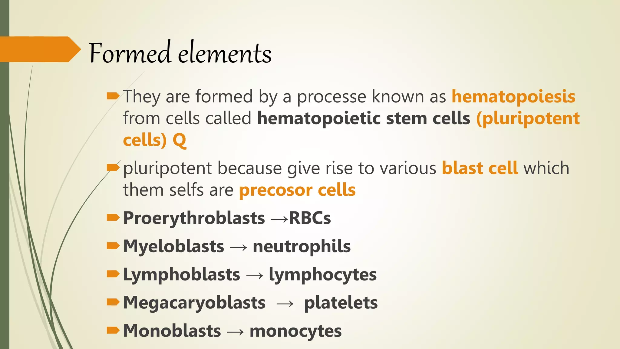 Hematopoietic system.pptx