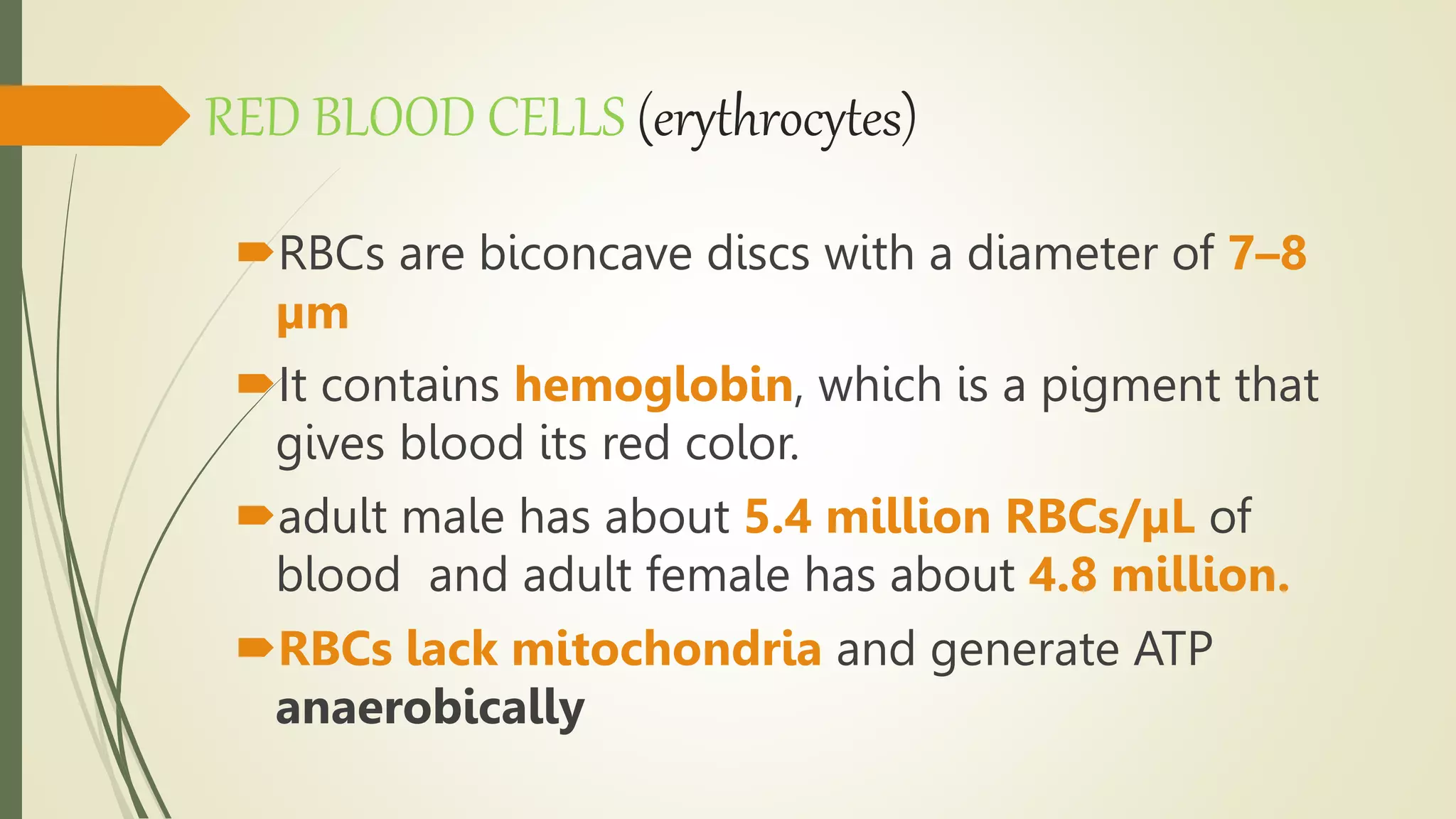 Hematopoietic system.pptx