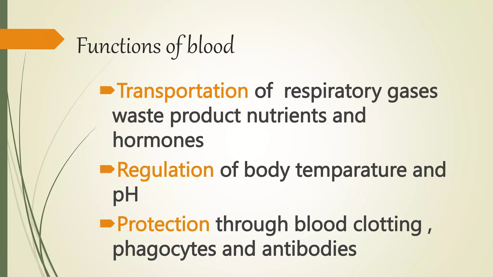 Hematopoietic system.pptx