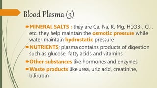 Hematopoietic system.pptx