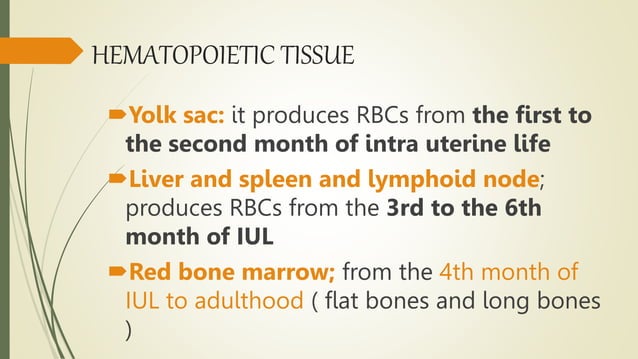 Hematopoietic system.pptx