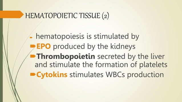 Hematopoietic system.pptx