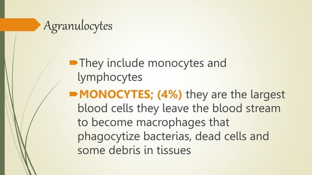 Hematopoietic system.pptx