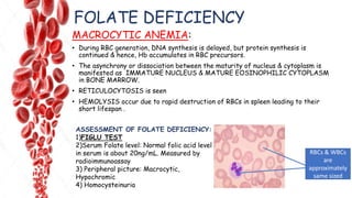 Hematopoietic vitamins | PPTX