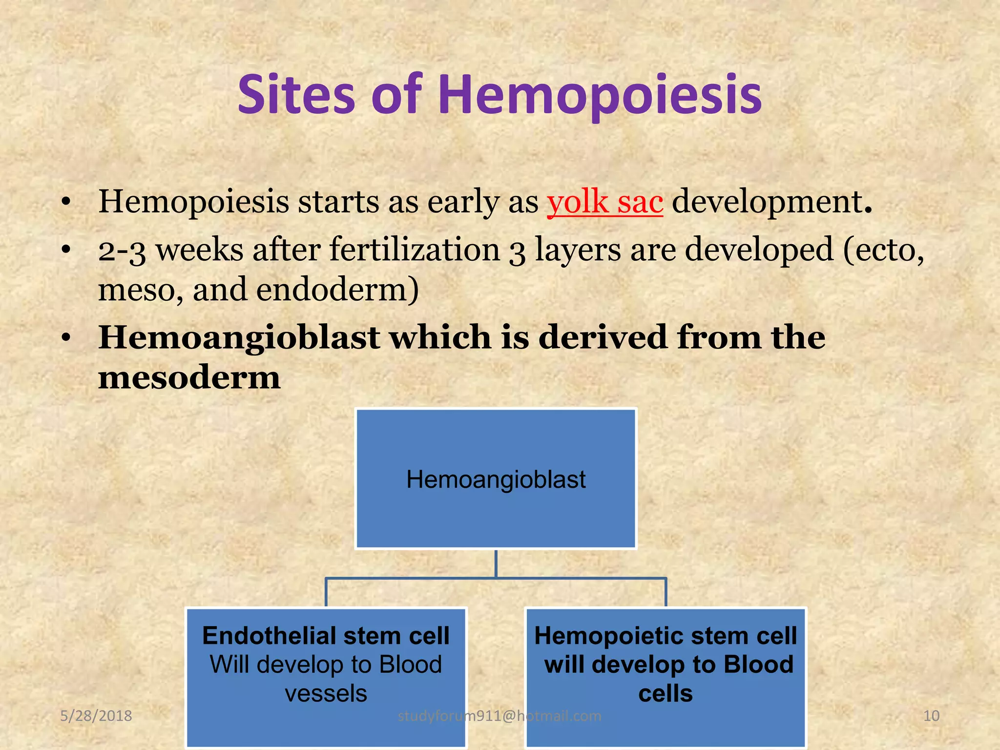 Hematopoisis | PPTX