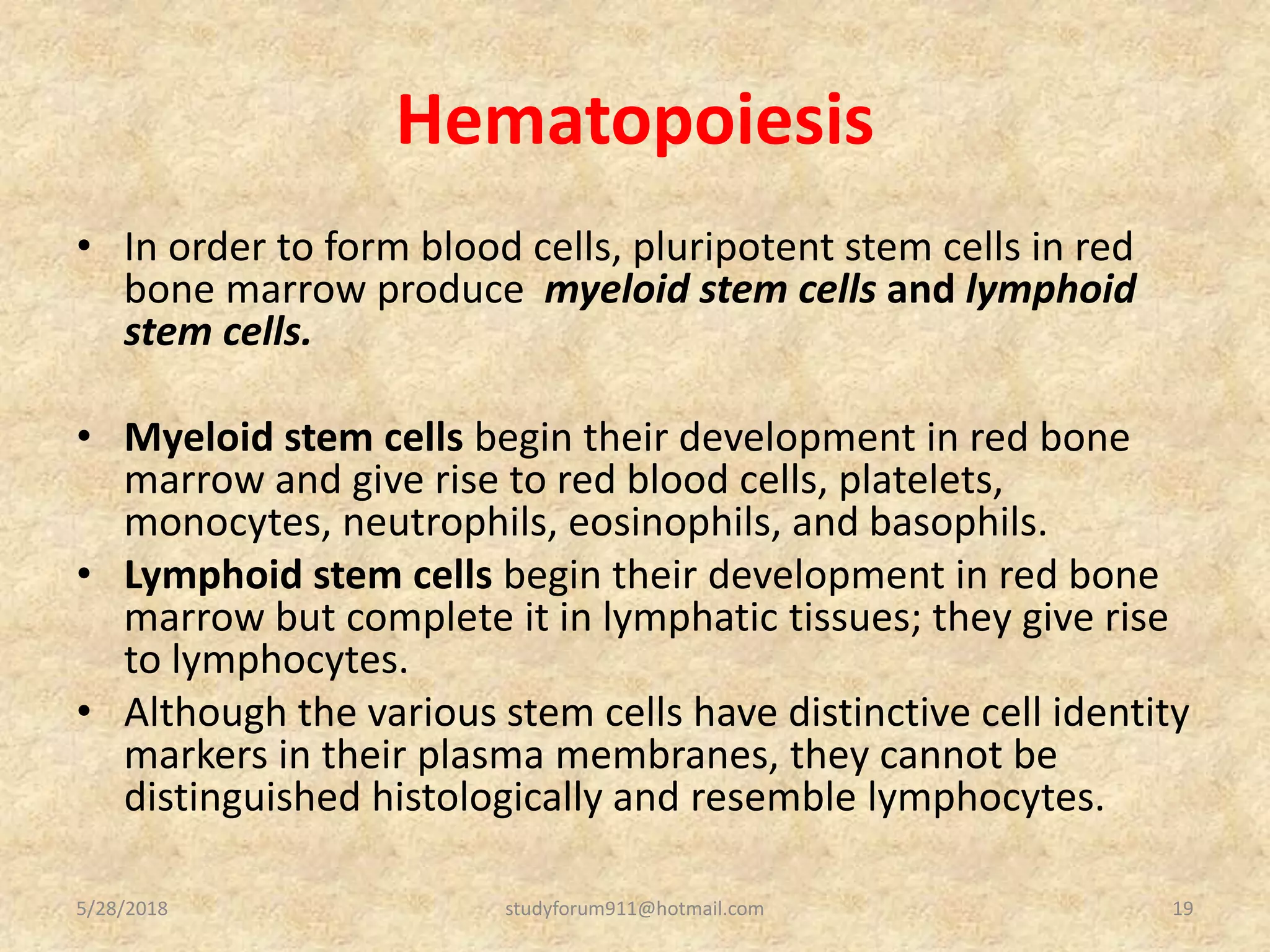 Hematopoisis | PPTX
