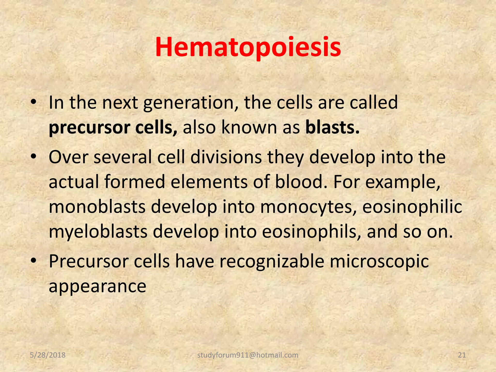 Hematopoisis | PPTX