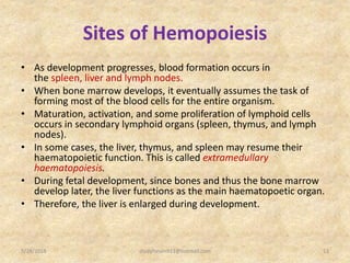 Hematopoisis | PPTX