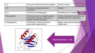 hematopoyesis-140321000228-phpapp02.pptx