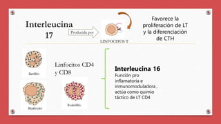 Hematopoyesis | PPTX