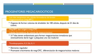 HEMATOPOYESIS 1.pptx para estudiar como l asangre se forms | PPTX