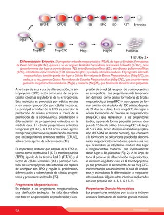 Hematopoyesis | PDF
