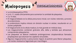 Hematopoyesis y hemograma_20250511_194607_0000.pdf