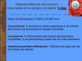 Hematopoyético (sistema cardiovascular) | PPT