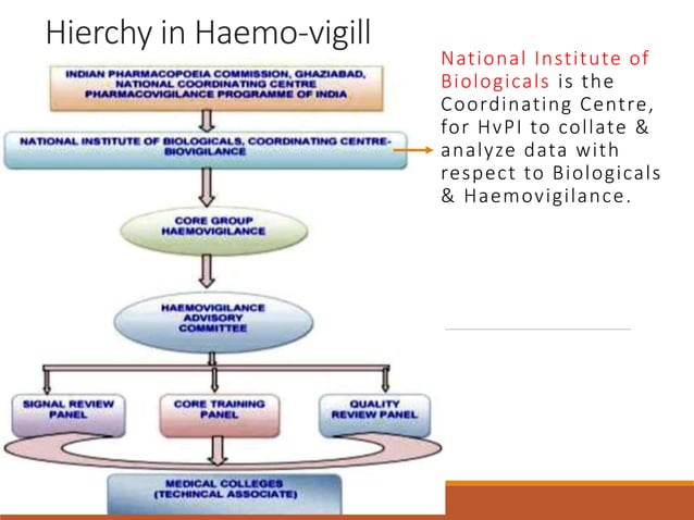 Hematovigilance / Haemovigilance Pranav | PPTX
