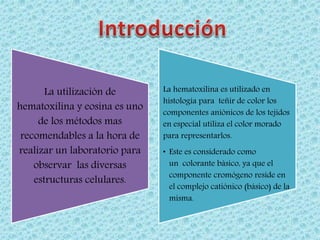Tinción de Hematoxilina y Eosina | PDF