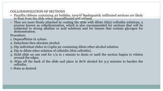 HEMATOXYLIN AND EOSIN (H & E) Staining.pptx
