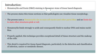 HEMATOXYLIN AND EOSIN (H & E) Staining.pptx