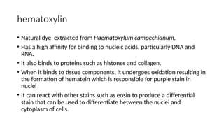Hematoxylin and eosin stain presentation.pptx