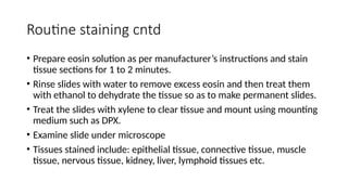 Hematoxylin and eosin stain presentation.pptx