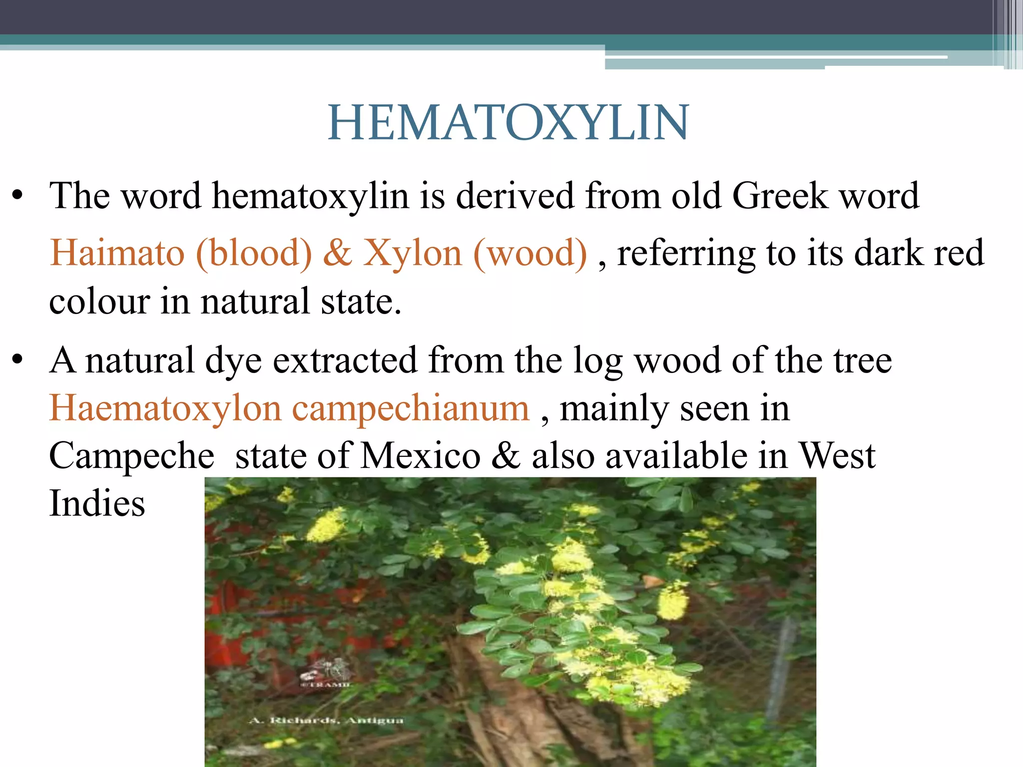Hematoxylin and eosin staining | PPTX