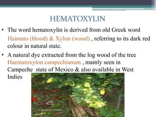 Hematoxylin and eosin staining | PPT
