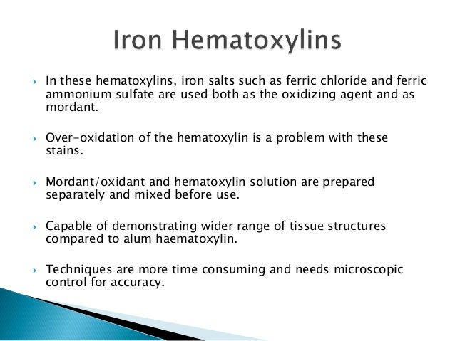 Hematoxylin and Eosin Staining