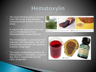 Hematoxylin and Eosin staining for UGs | PPTX