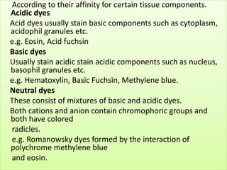 Hematoxylin & eosin | PPT