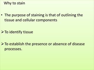 Hematoxylin & eosin | PPT