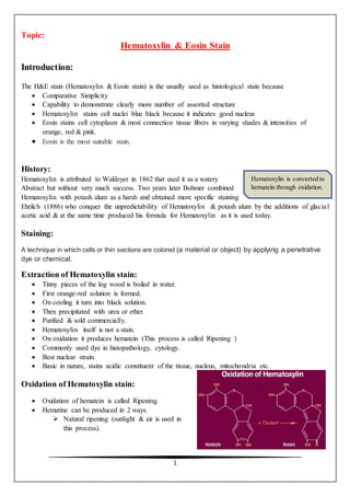 Hematoxylin & eosin stain | DOCX | Blood Disorders | Diseases and ...