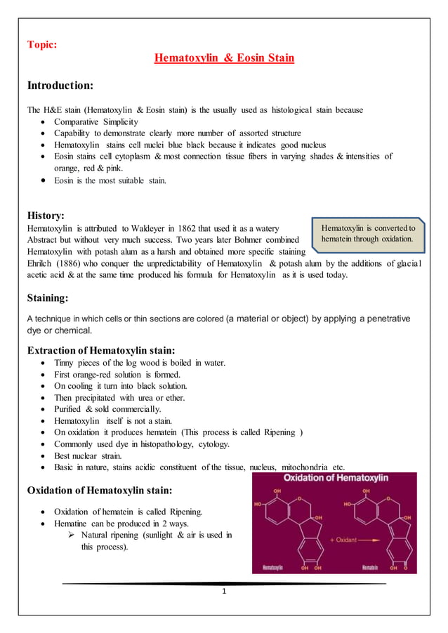 Hematoxylin & eosin stain | DOCX | Blood Disorders | Diseases and ...