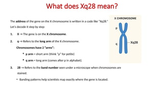 hematology.... Hemostasis and bleeding disorder | PPTX