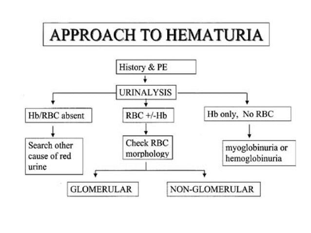Hematuria | PPT | Blood Disorders | Diseases and Conditions