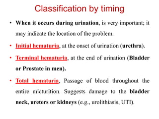 Hematuria | PPTX