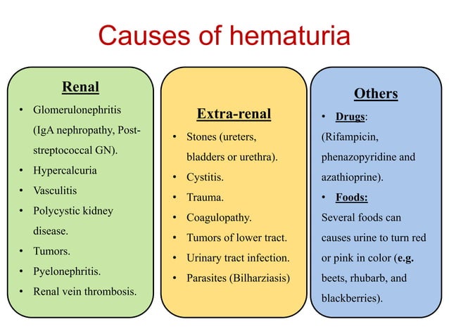 Hematuria | PPTX | Blood Disorders | Diseases and Conditions