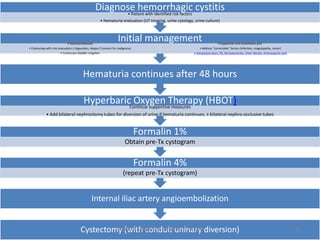 Hematuria - evaluation and management | PDF
