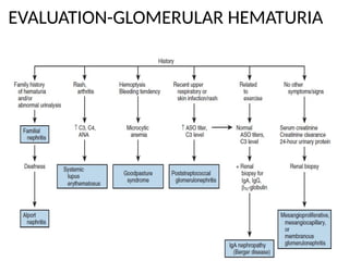 Hematuria - Causes and Classification in Detail | PPTX