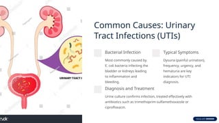 Hematuria-Understanding-Blood-in-the-Urine | PPTX