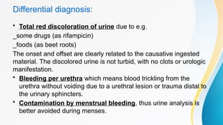 hematuria powerpoint urology lecture .pptx
