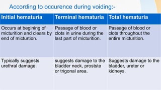 hematuria powerpoint urology lecture .pptx