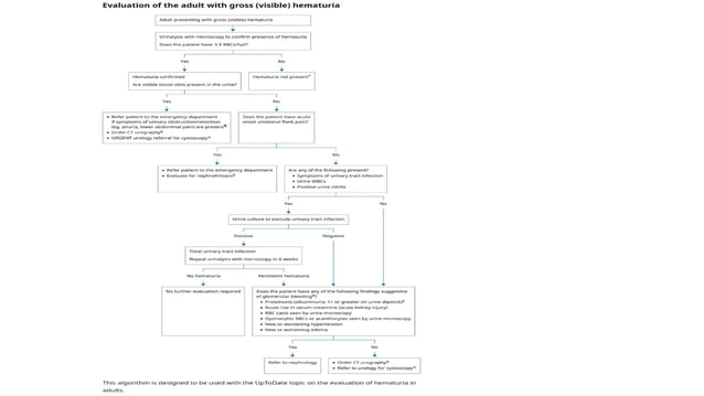 Hematuria Defination,classification,Evaluation.pptx