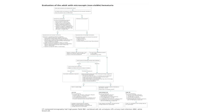 Hematuria Defination,classification,Evaluation.pptx