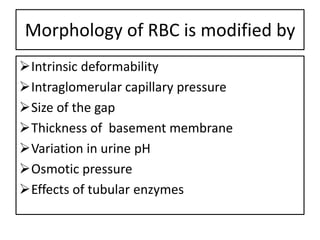Approach to hematuria with case discussion | PPTX