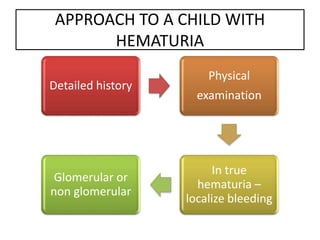 Approach to hematuria with case discussion | PPTX