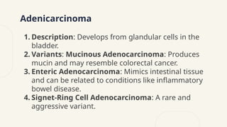 Hematuria, benign and malignant bladder lesions | PPTX