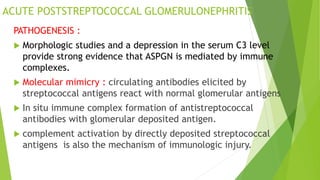 APPROACH TO HEMATURIA IN CHILDREN and APSGN | PDF