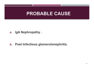 hematuria with renal failure. IgA nephropathypptx | PPTX