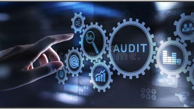 Private & government audit | PPT