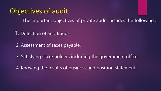 Private & government audit | PPT
